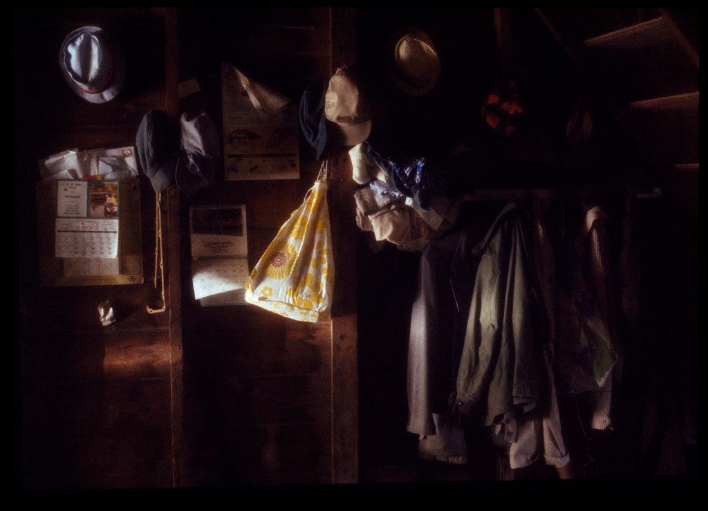 Robert Farber | Collections | Moods