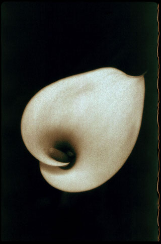 Robert Farber | Collections | Moods