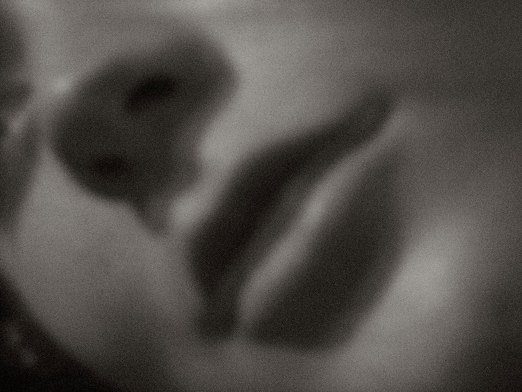 Robert Farber | Collections | Moods