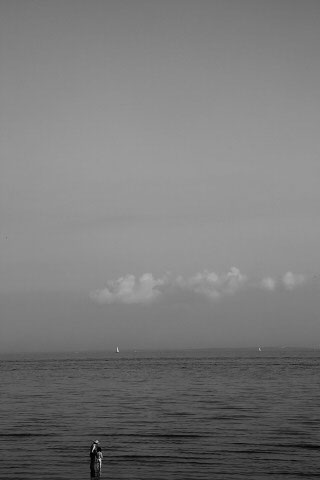 Robert Farber | Collections | Moods