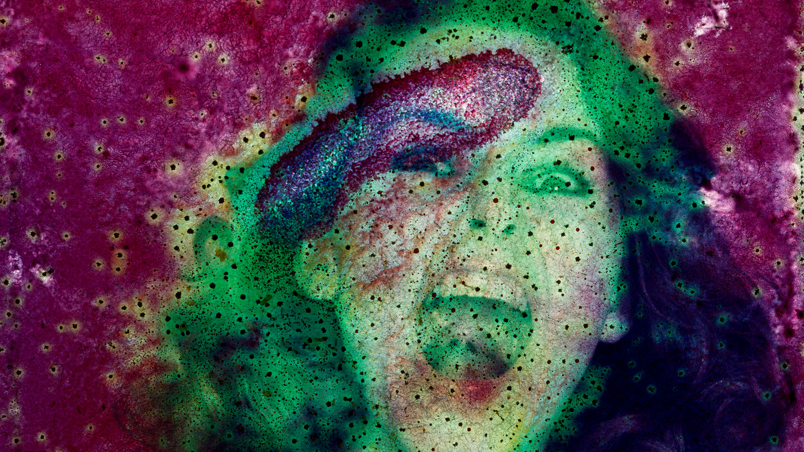 Robert Farber | Home