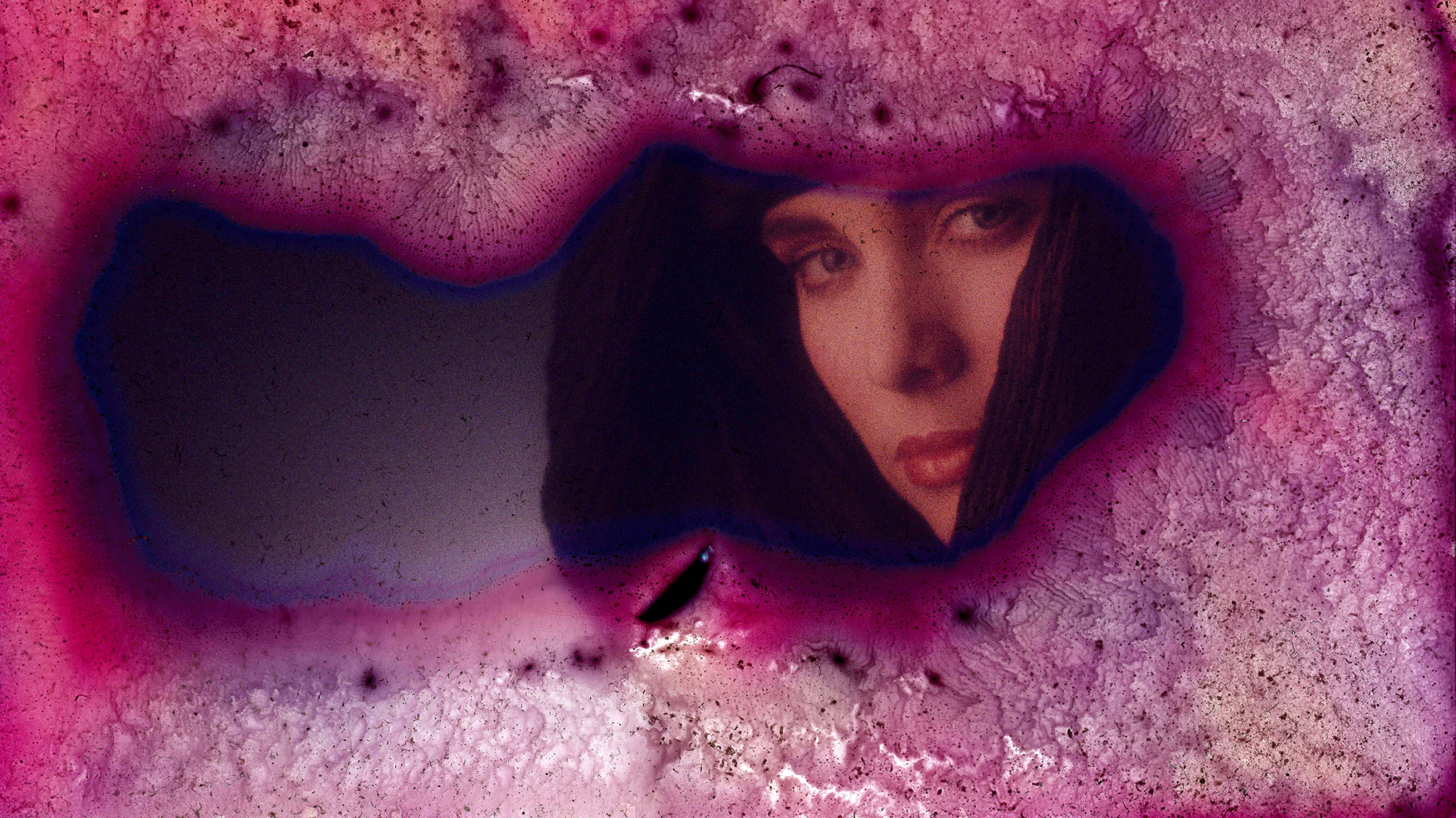 Robert Farber | Home