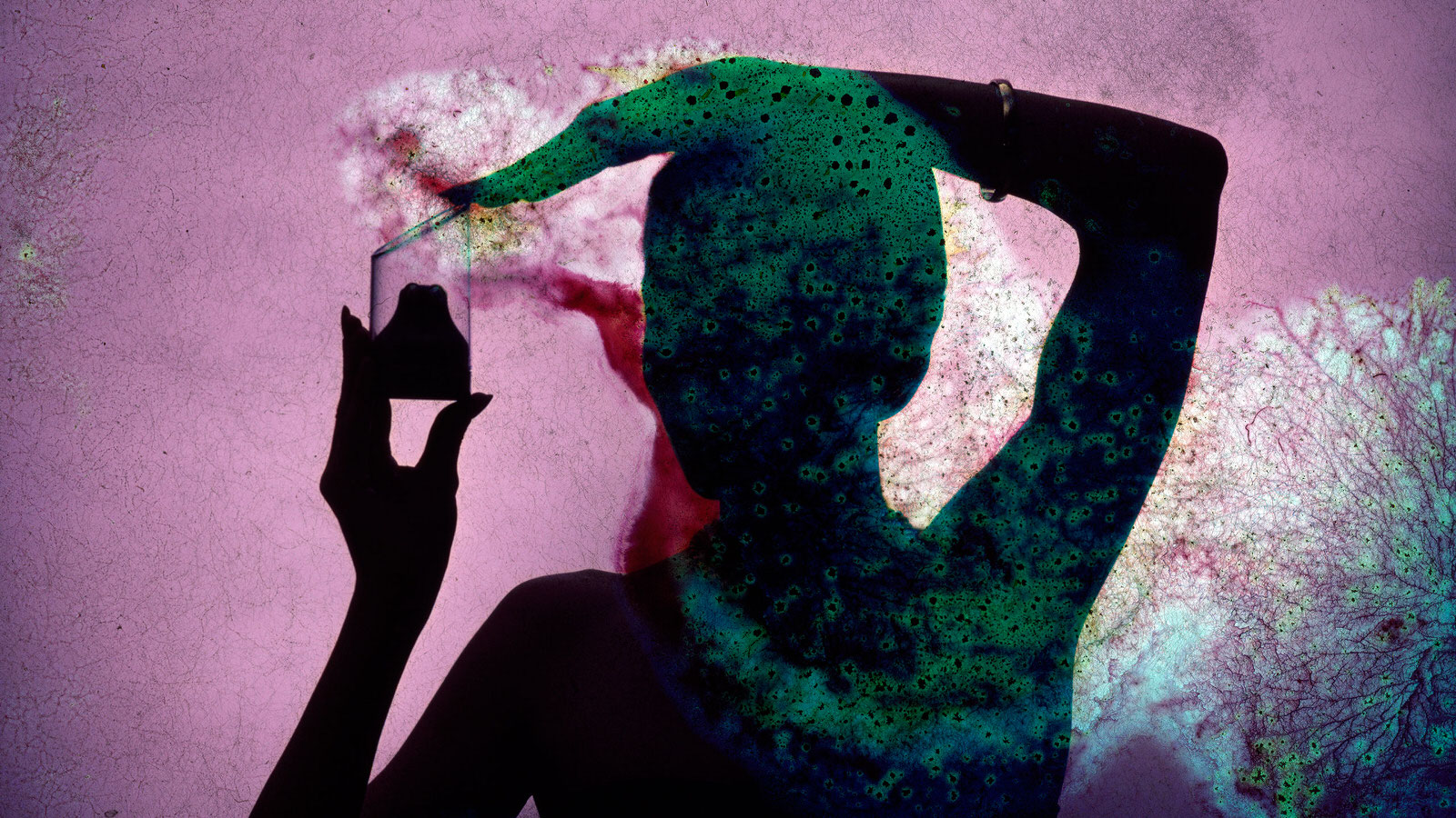 Robert Farber | Home